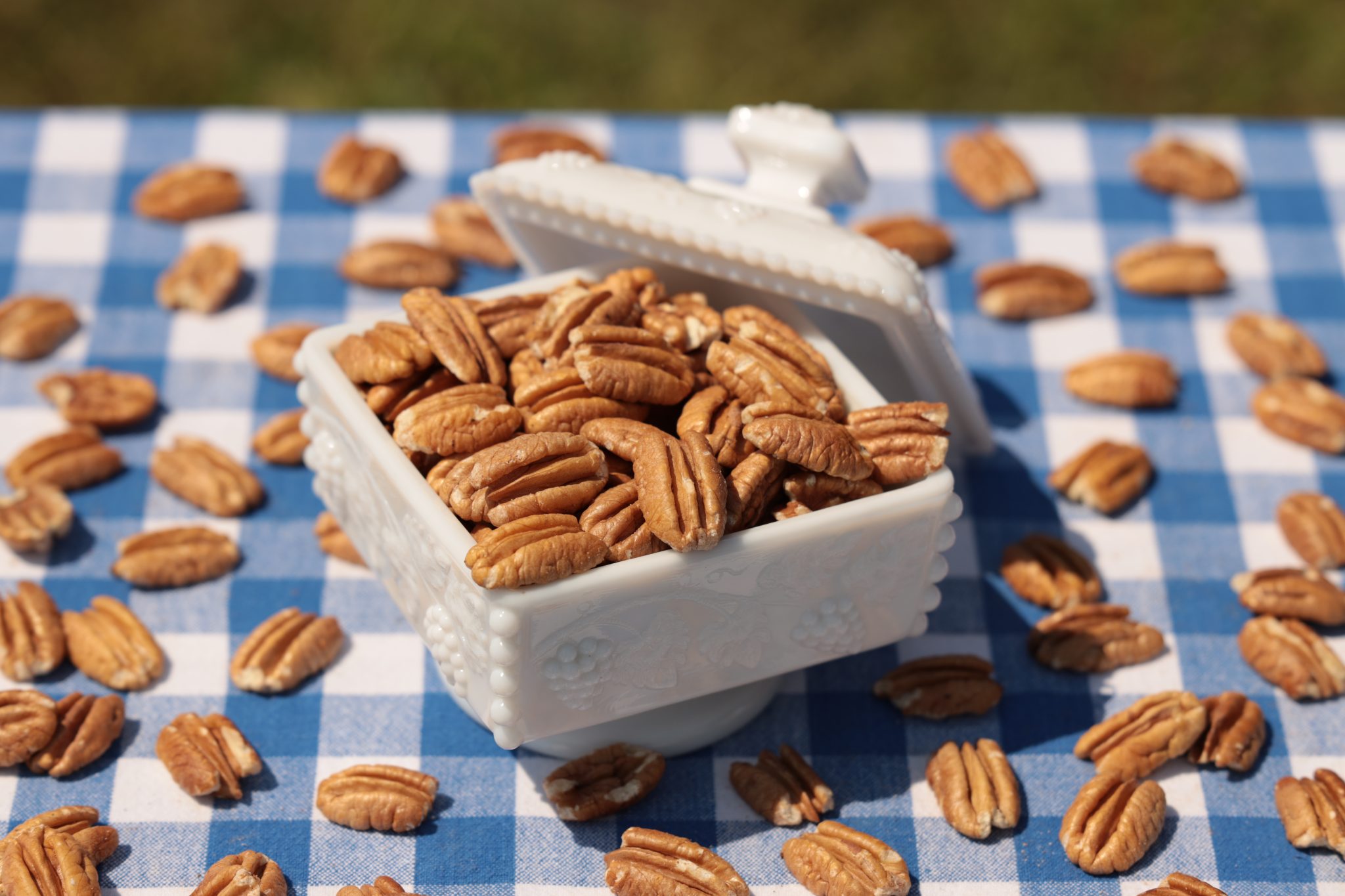 Shelled Pecans - The Pecan Barn